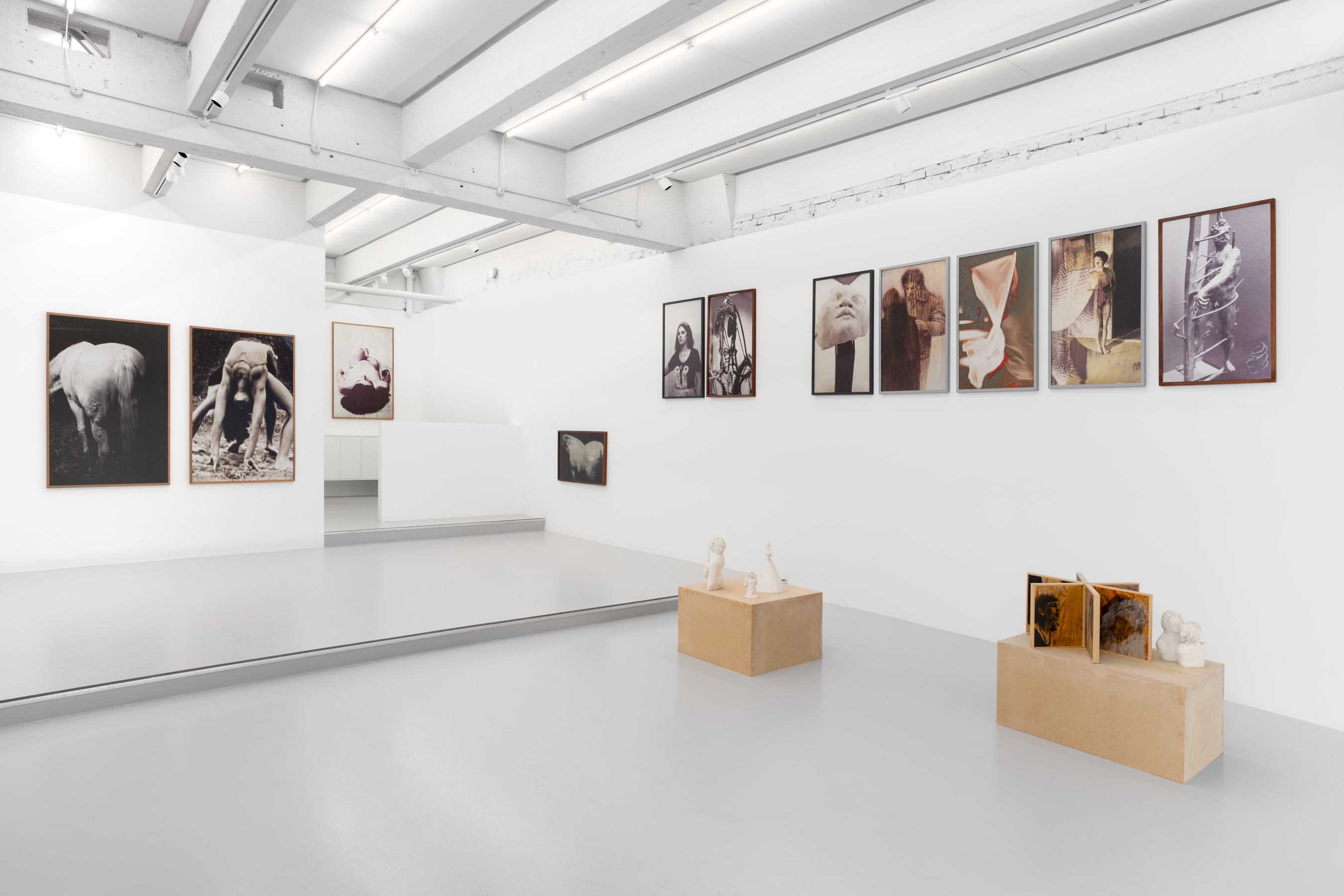 Udstillinger / Exhibitions – Jytte Rex
