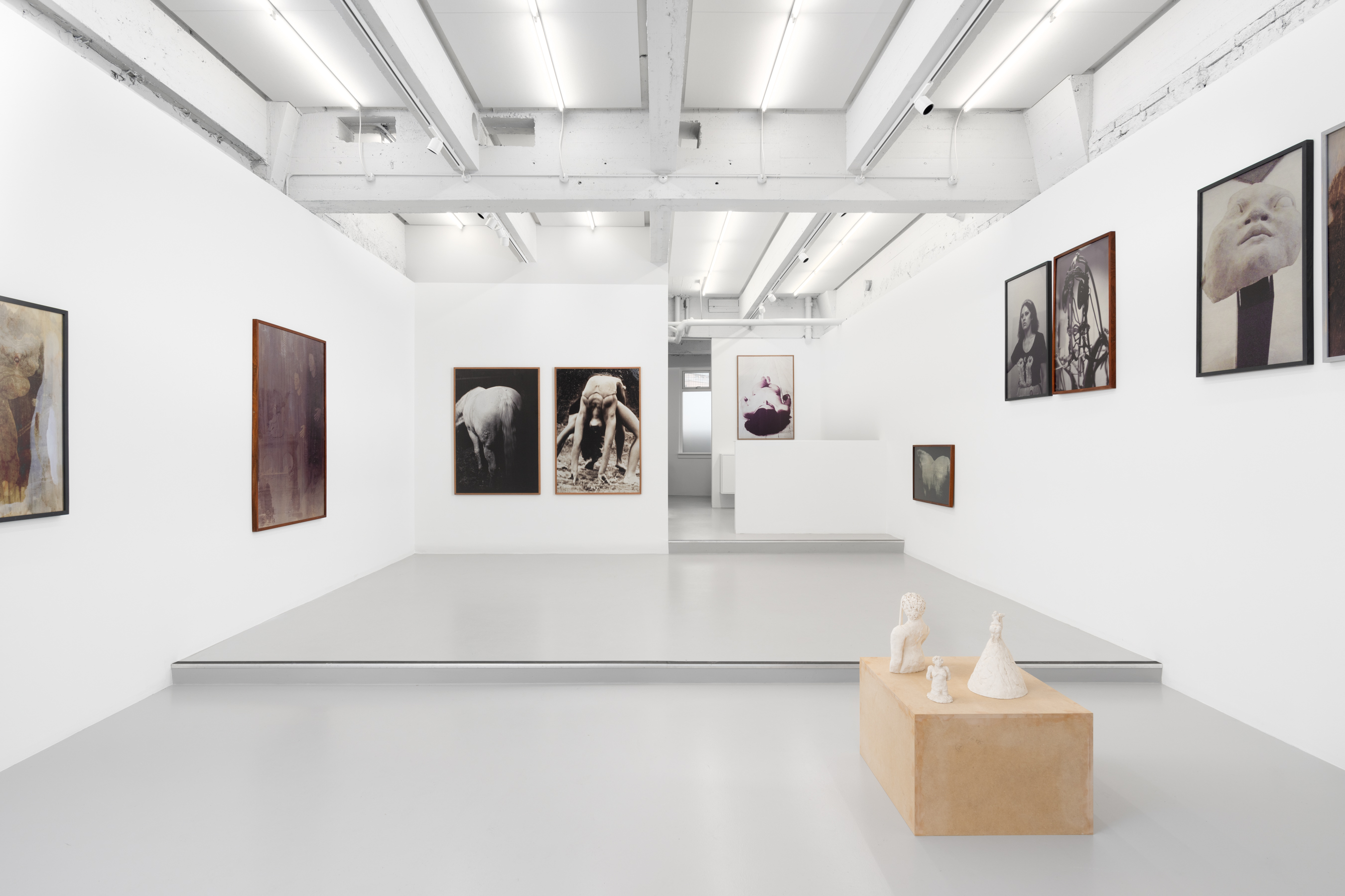 Udstillinger / Exhibitions – Jytte Rex